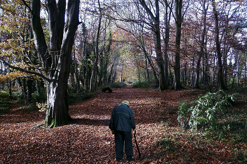 The Danger Of Alzheimer’s Wandering And How To Prevent It
